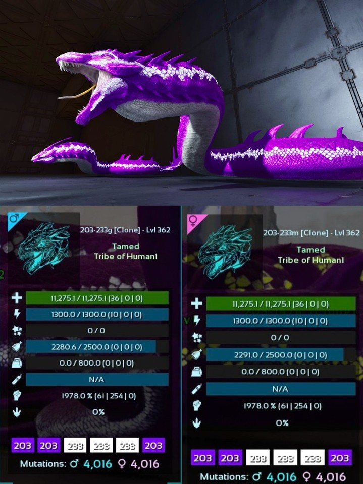 Basilisk Pair Level 362 Clone ARK🦕 Survival Ascended ASA PVE PC/XBOX/PS ...