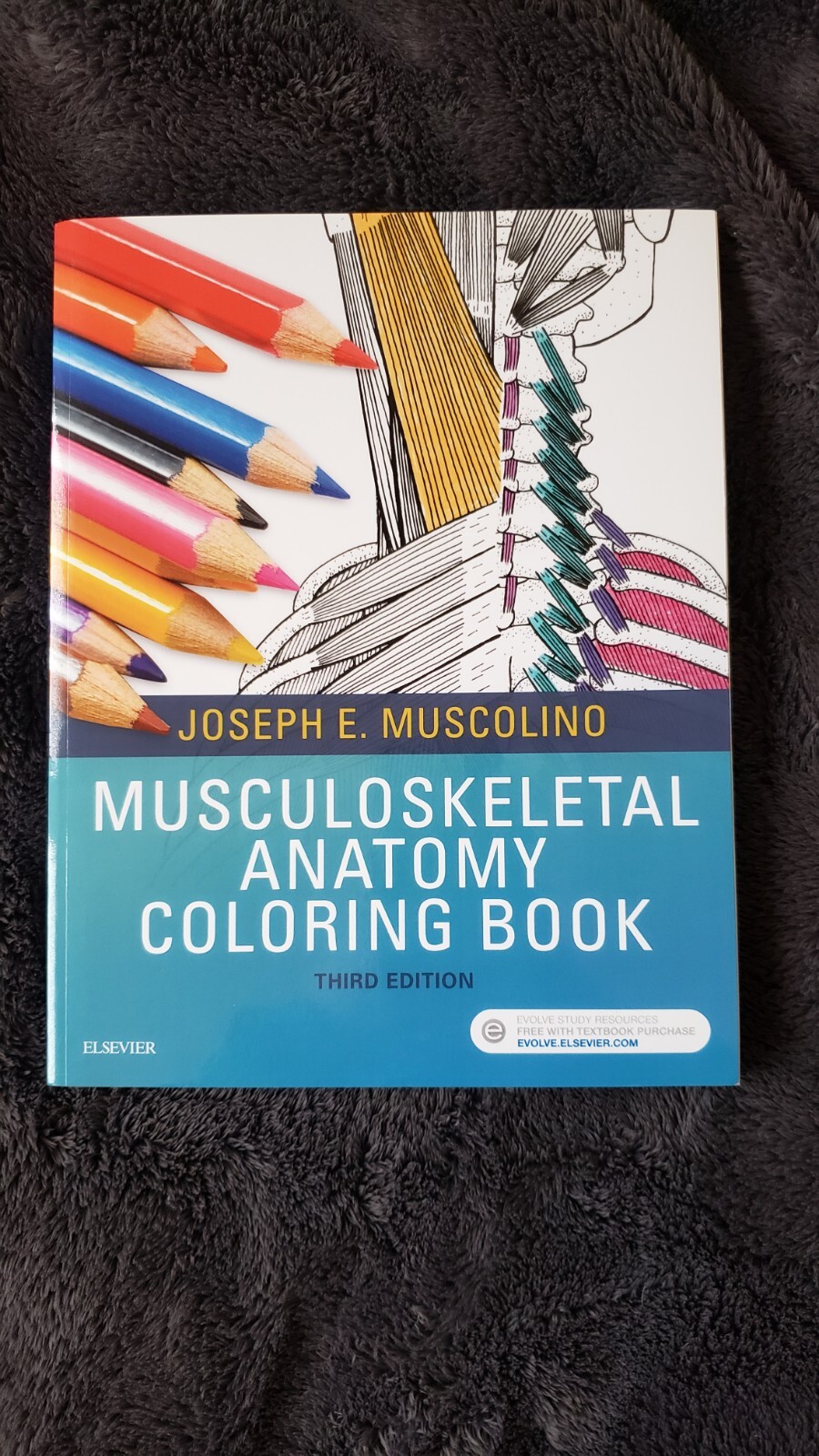 Musculoskeletal Anatomy Coloring Book by Joseph E. Muscolino (2017 ...