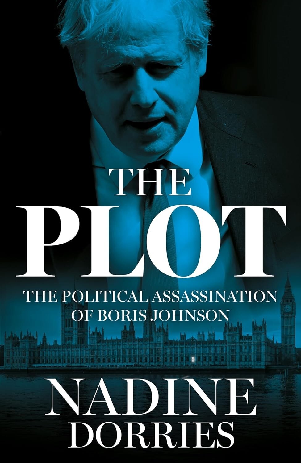 The Plot Nadine Dorries, Johnson at 10 The Inside Story Anthony Seldon ...