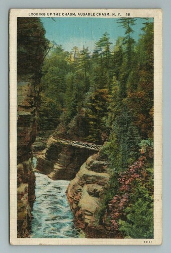 Looking Up The Chasm, Ausable Chasm, New York Postcard | eBay