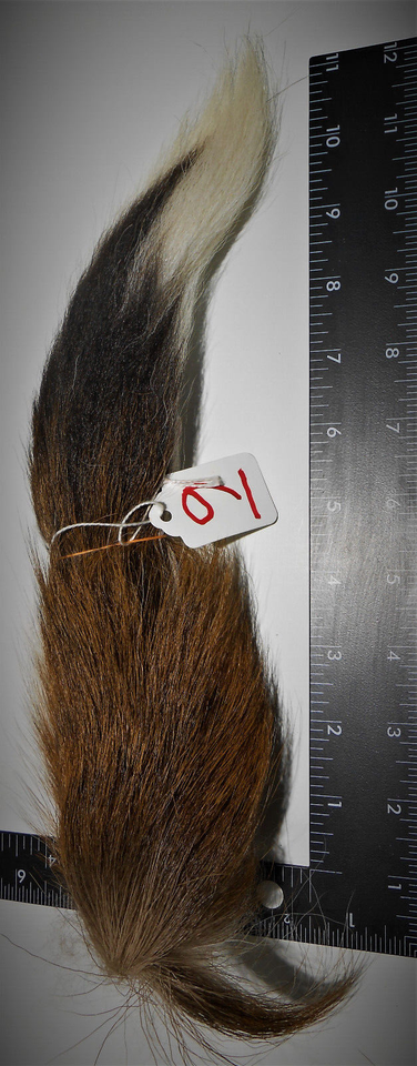 Colonel Beauxs Premium Select "JUMBO" Pennsylvania bucktail! | eBay