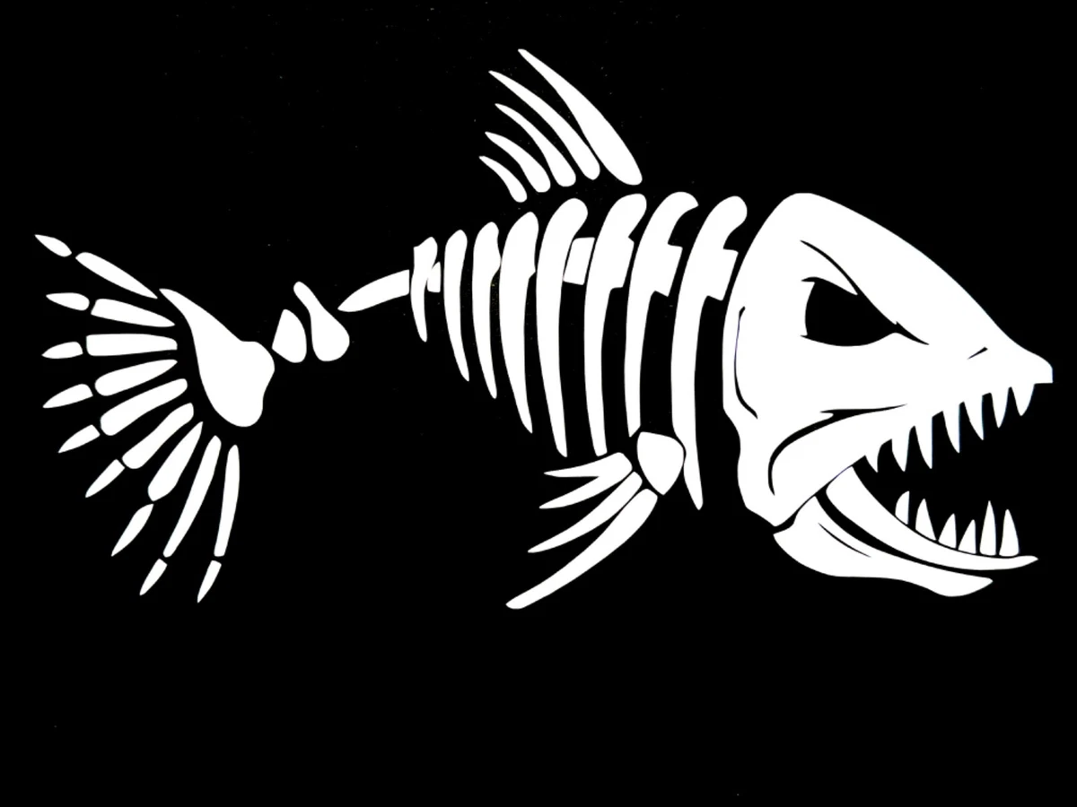 Fish Skeleton Decal