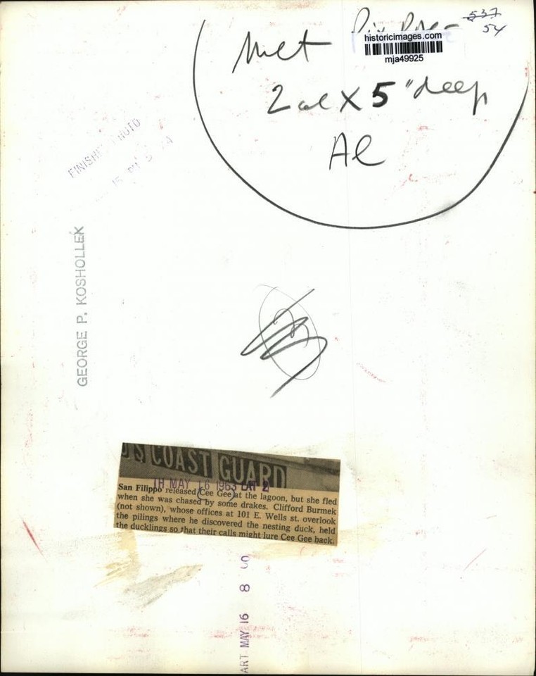 1963 Press Photo Sam Filippo Releasing Cee Gee the Duck, Milwaukee ...