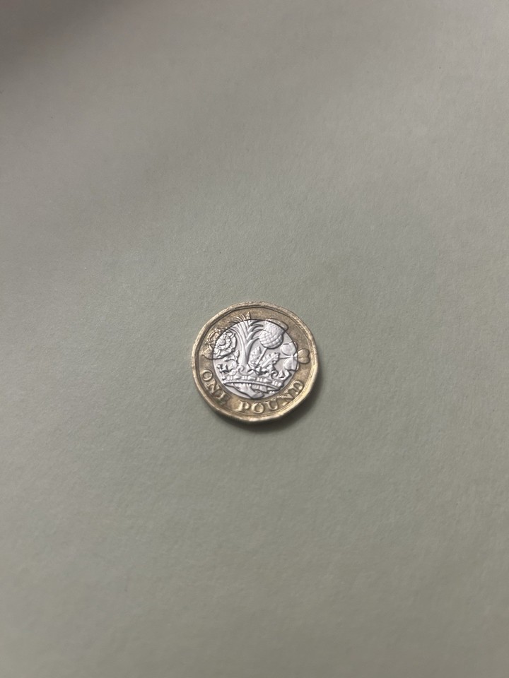 2016 Queen Elizabeth II One Pound Coin | eBay