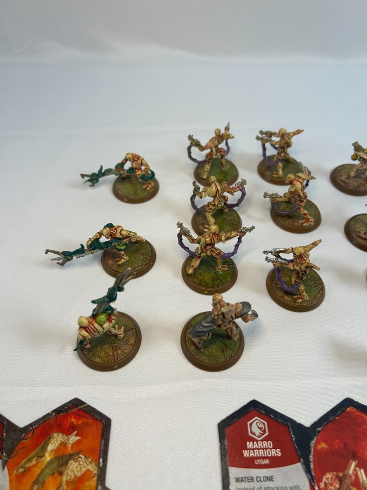 Heroscape Marro Army Lot Ne-Gok-Sa Warriors Stingers Drudge Nagrubs ...