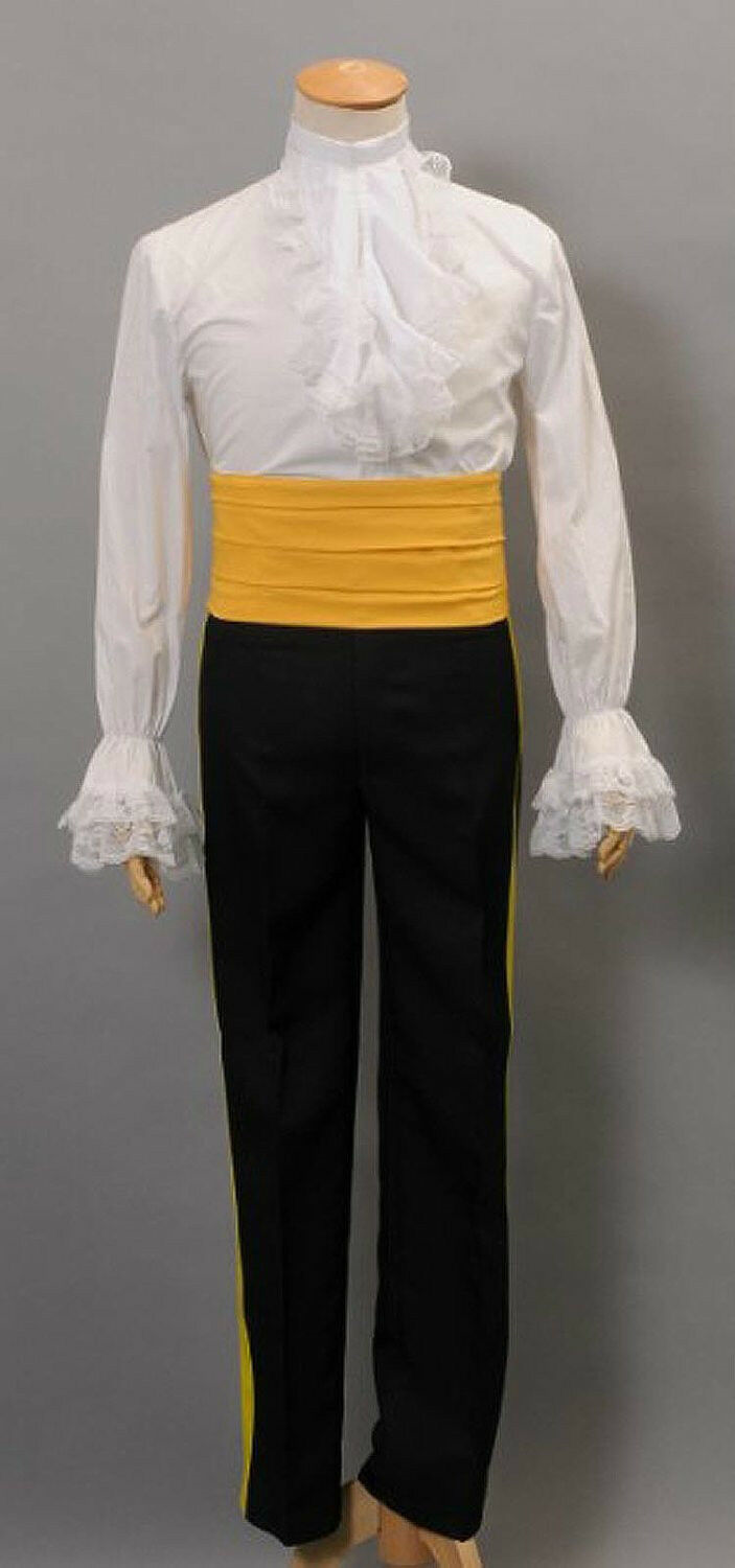 Beauty and the Beast Prince Adam Cosplay Costume | eBay