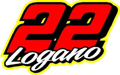 22 Joey Logano 2025 Nascar vinyl window decal racing sticker | eBay