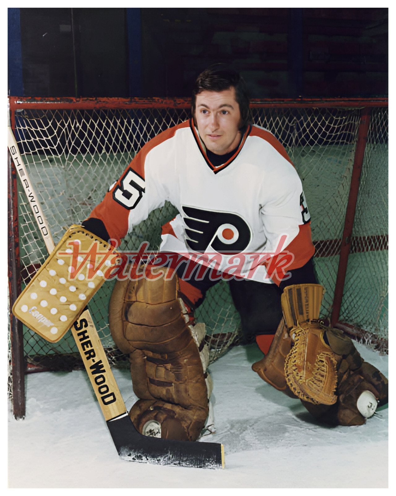 NHL 1970's Philadelphia Flyers Goalie Wayne Stephenson Color 8 X 10 ...