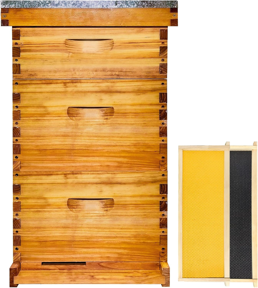 Gold Standard 10 Frame Bee Hive Beeswax Coated Includes Beehive Frames ...