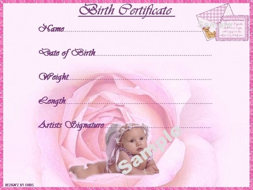 PRETTY PINK BIRTH CERTIFICATE/CERTIFICATES 4 REBORN FAKE BABY approx 7 ...