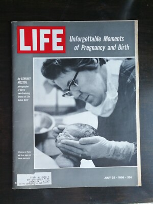 Life Magazine July 22, 1966 - Unforgettable Moments of Pregnancy ...