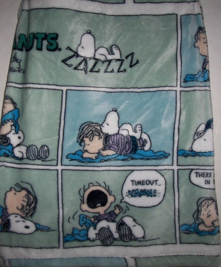 NWT Berkshire PEANUTS COMIC STRIP Green SNOOPY & LINUS TAKE A NAP Throw ...