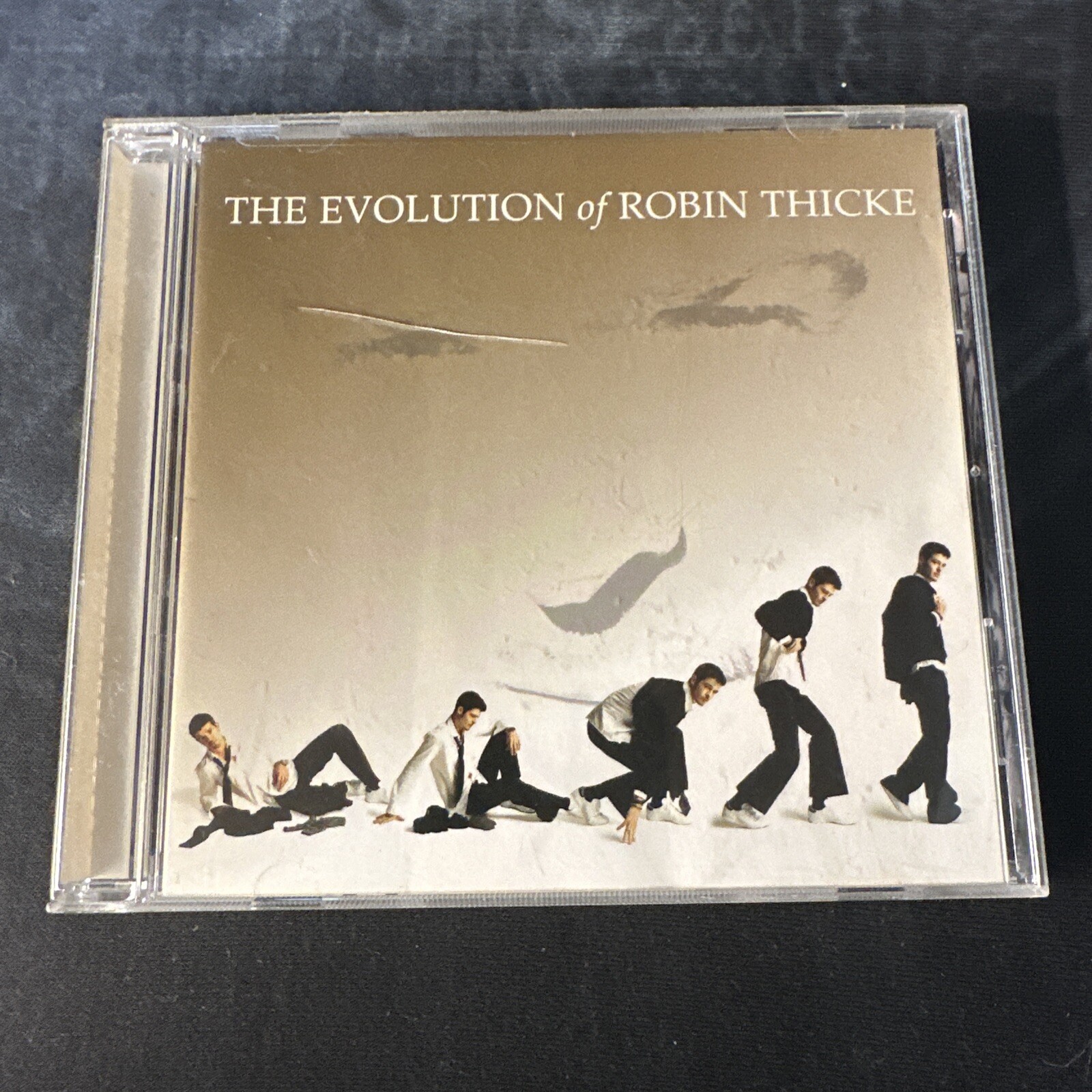 The Evolution Of Robin Thicke Album Cover