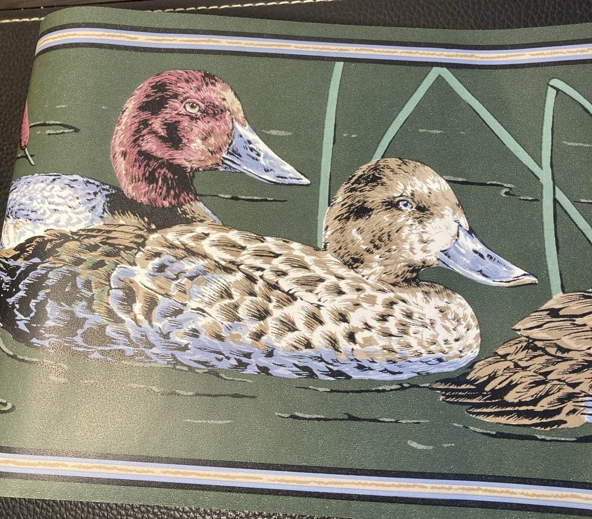 Mallard Ducks Wallpaper Border Poster, Print A Female Mallard Duck