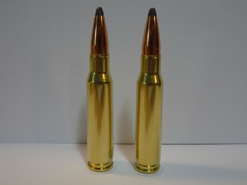 308 Winchester Snap Caps- Package of 2 | eBay