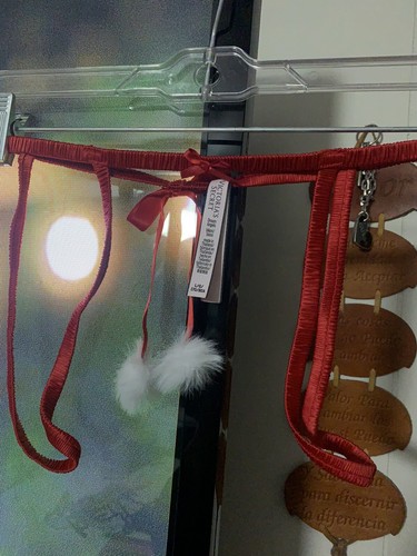 victoria secret Dream Angel Garter L/G | eBay