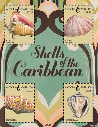 Antigua 2011 - Shells of the Caribbean - Sheet of 4 - MNH | eBay