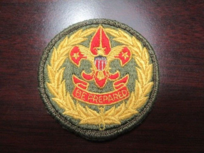 Assistant Field Scout Executive, District Executive Patch Rolled Edge ...