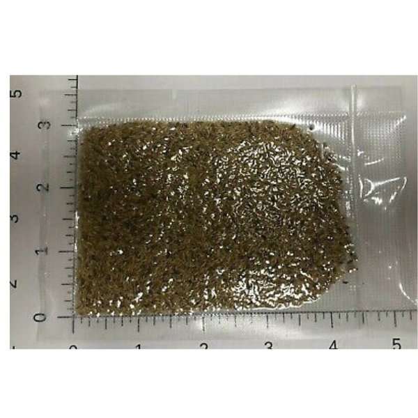 Zenith Zoysia Grass 5000 seeds starter kit | eBay