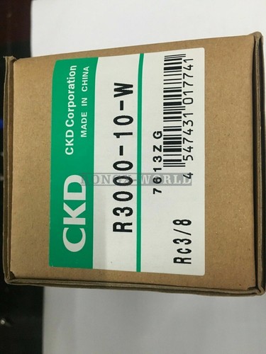 1PCS NEW CKD R3000-10-W #A6-37 | eBay
