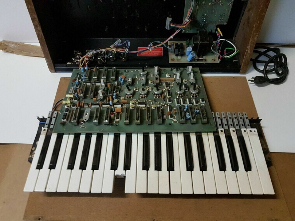 THE CAT by OCTAVE SYNTHESIZER - made in USA | eBay