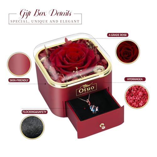 Preserved Roses Gift Jewerlry Box, Real Eternal Rose Flower with ...
