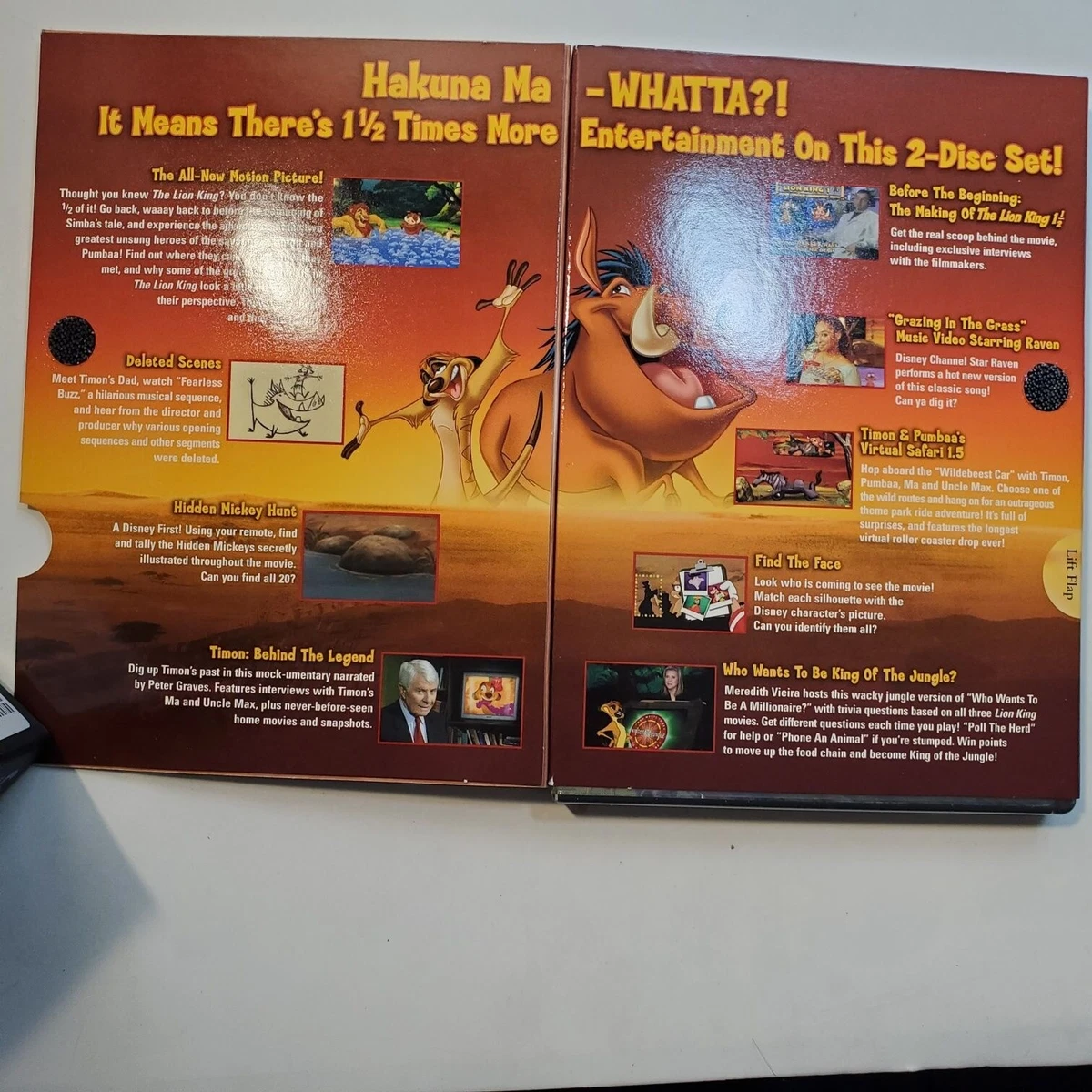 Lion King Poster Hidden Image