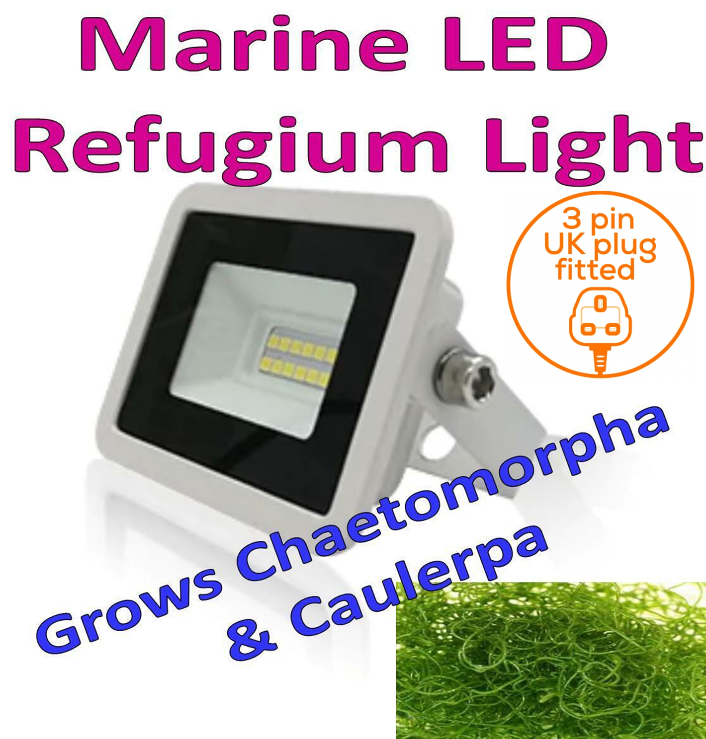 MARINE REFUGIUM LED LIGHT, CHAETO CAULERPA, MACRO ALGAE, SUMP TANK ...
