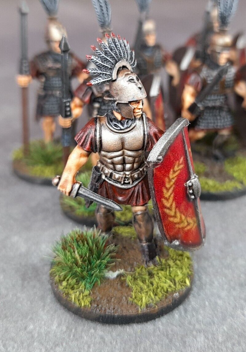 SAGA REPUBLICAN ROMAN WARBAND COMMISSION, pro painted, see description ...