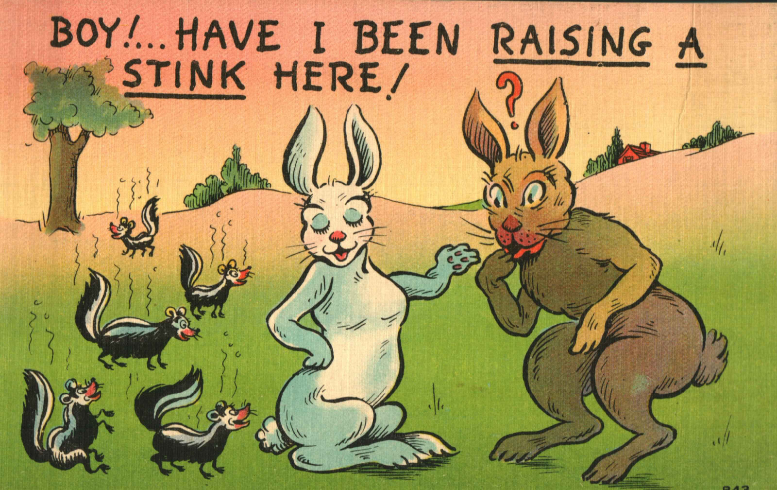Postcard Humor Boy! Have I Been Raising A Stink Here! Rabbits Skunks | eBay