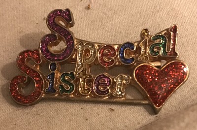 Special Sister Brooch Pin Hand Painted Shimmering Finish | eBay