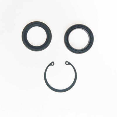 Steering Gear Pitman Shaft Seal Kit Edelmann 8517 | eBay