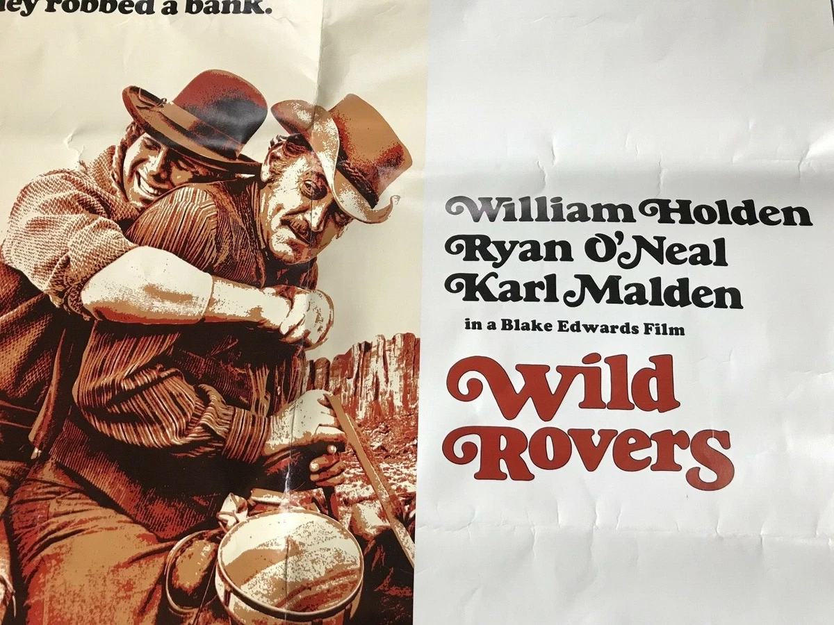 The Rover Movie Poster