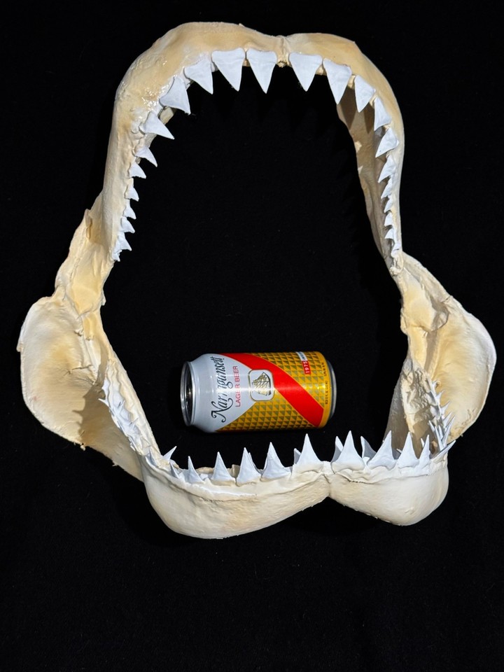 Great White Shark Jaws replica LARGE 15 inch Jaws 50th Bruce Amity ...