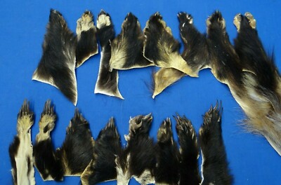 Badger Paws Badger Paws Brant Claws | eBay