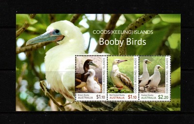 Cocos Keeling Islands 2020 Booby Birds 3vMS Mint NH | eBay UK
