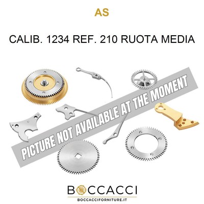 AS CALIB. 1234 REF. 210 RUOTA MEDIA Calib: 1234 (EXCELLENT STATE) | eBay