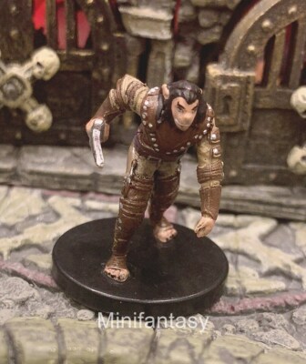 Shifter Rogue D&D Miniature Dungeons Dragons Pathfinder Thief Eberron ...
