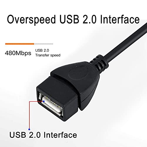 Mini USB OTG Cable for Digital Cameras - USB A Female to Mini USB B 5 ...