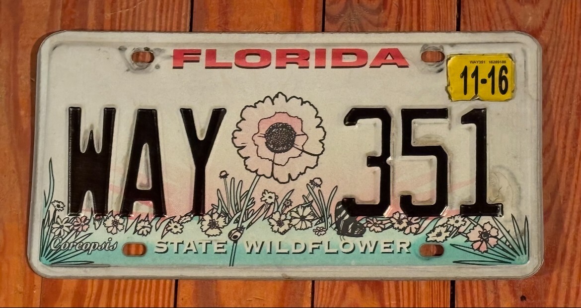 2016 Florida License Plate STATE WILDFLOWER | eBay