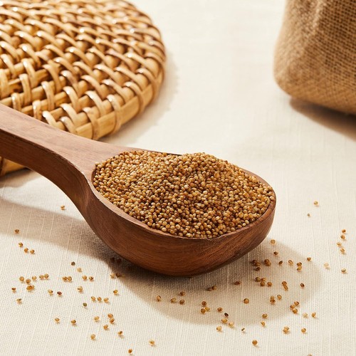 Foxtail Millet- Kangni -Natural,Organic & Unpolished-Wholesome Grain ...