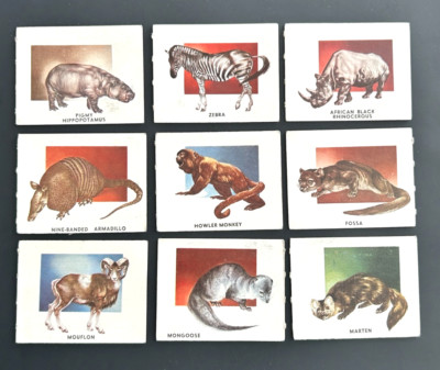 1951 TOPPS ANIMALS OF THE WORLD...LOT OF 17...nice crease free | eBay