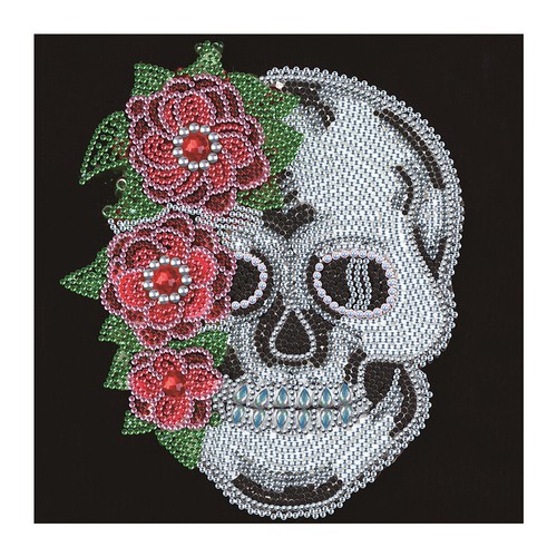 Diamond Painting Kit Skull Partial Special Shape Drill DIY Picture ...