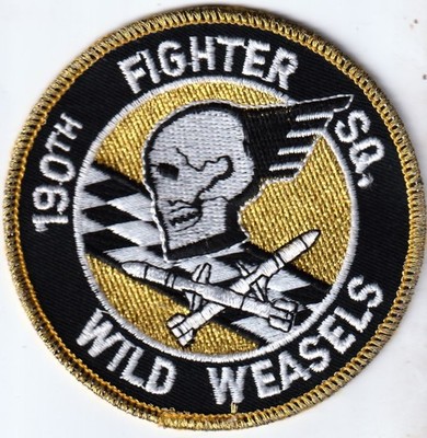 USAF Air Force 190th Fighter Sqn "Wild Weasels" Boise Air Terminal ...
