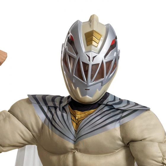 Boys Power Rangers Cosmic Fury Zenith Ranger Classic Muscle Costume | eBay