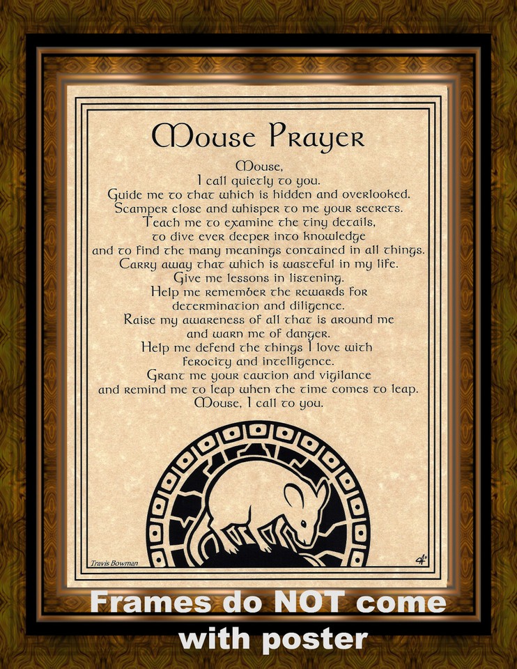 MOUSE MICE Prayer Poster Page Book of Shadows Animal Spirit 8 1/2 X 11 ...