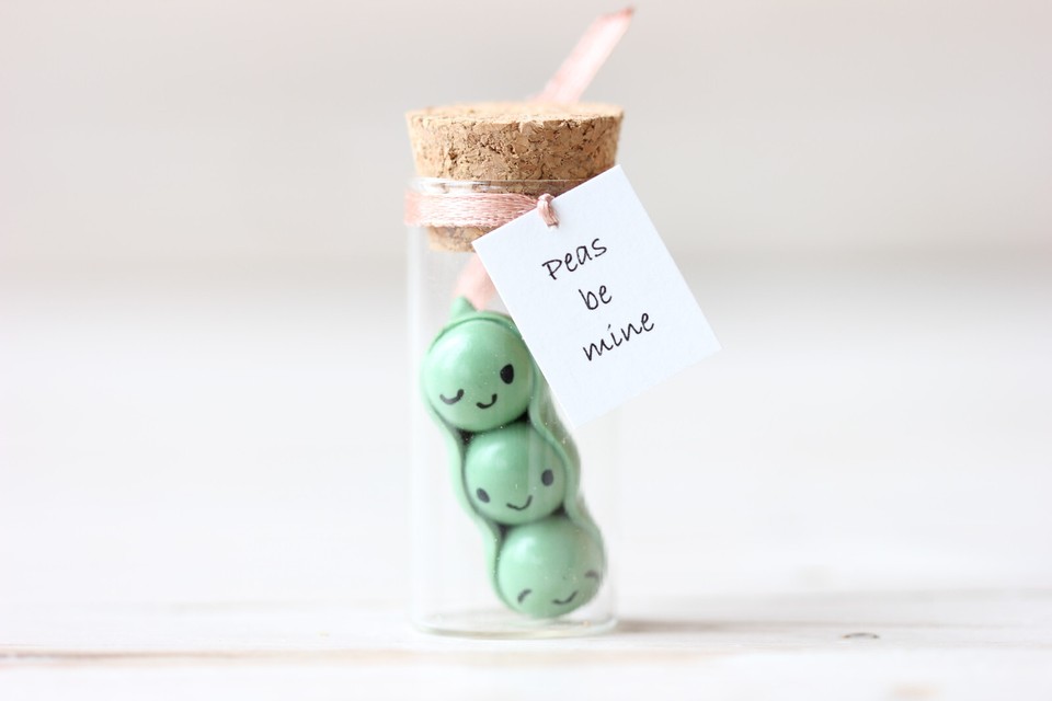Birthday Funny Gift Party Favors Personalized Family Gift Three Peas in ...