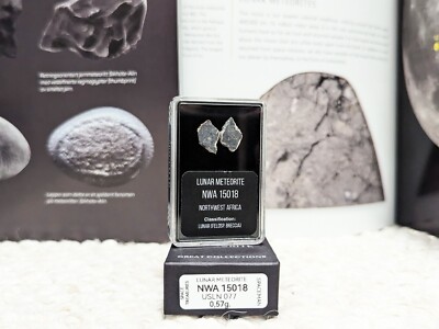 NWA 15018 Lunar Meteorite for Sale, Own an Authentic Moon Rock ...