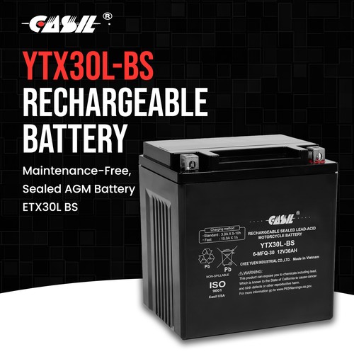 Casil YTX30L-BS Power Sports Replacement Yuasa YIX30L Motorcycle ...