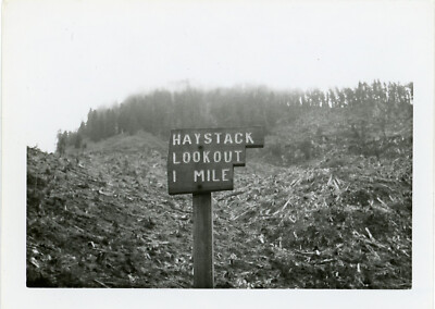 Vintage Black & White Photo Haystack Lookout Mile Sign Wooden Road ...